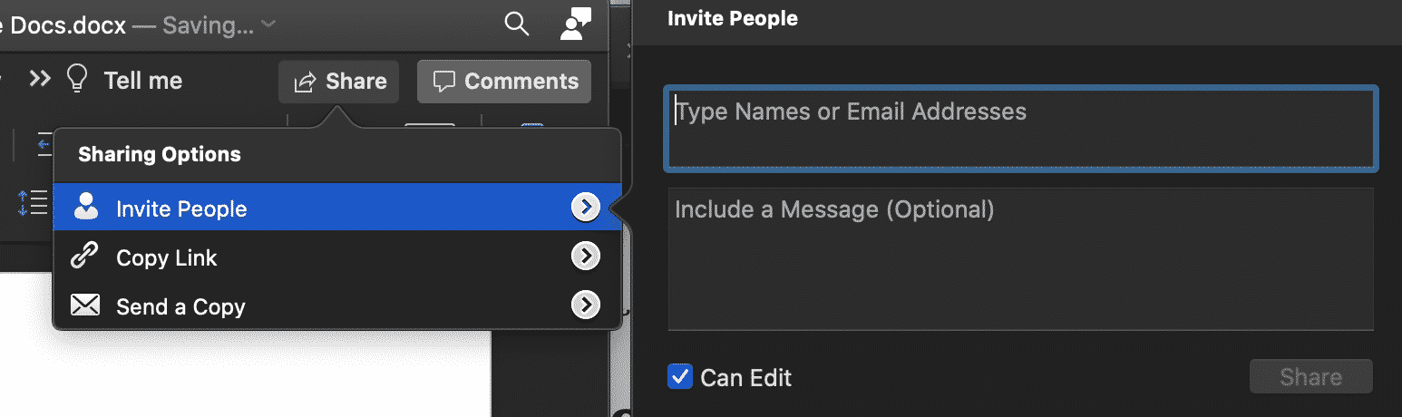 How you can Co-author Microsoft Word Documents