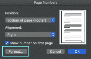 How to use Multiple types of Page Numbers in Microsoft Word Documents