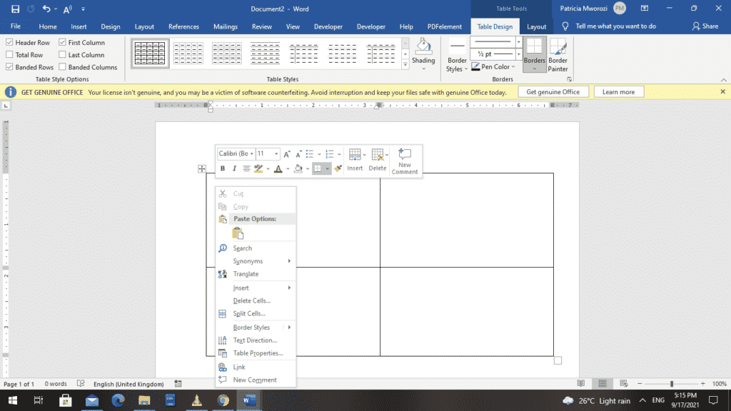  Microsoft Word 