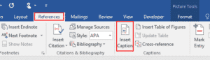 How to add captions to your graphics in Microsoft Word